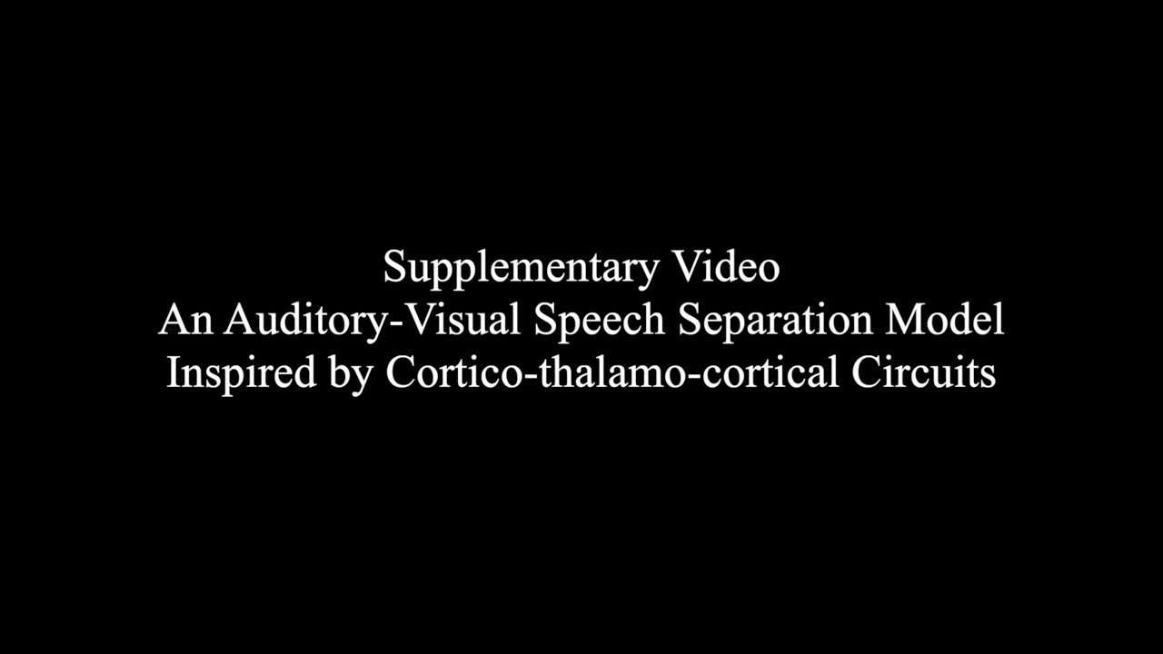 An Audio-Visual Speech Separation Model Inspired by Cortico-Thalamo ...