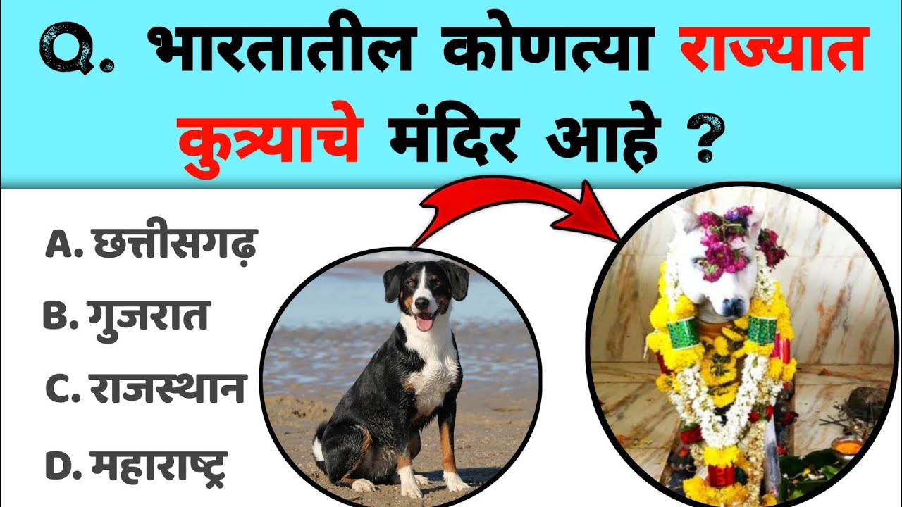 Top 10 Marathi Gk Questions And Answers Gk Questions In Marathi top-10-marathi-gk-questions-and-answers-gk-questions-in-marathi