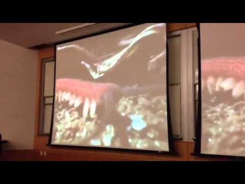 David Reznick, From Birth to Death: the Evolution Guppies Under the ...