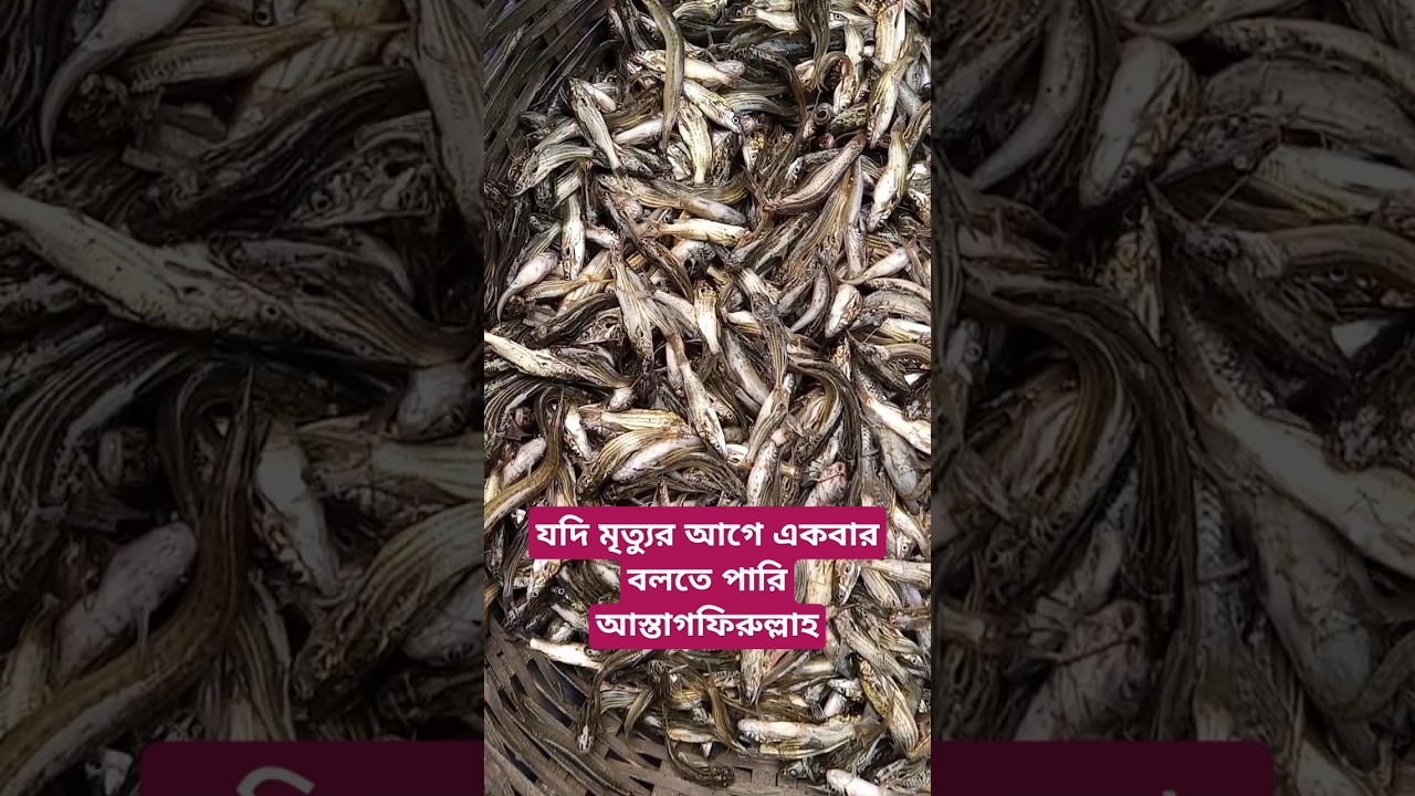 যদি মৃত্যুর আগে একবার বলতে পারি আস্তাগফিরুল্লাহ#abu_toha_muhammad_adnan ...