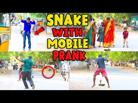 SNAKE WITH FAKE MOBILE PRANK