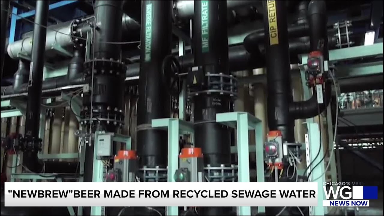 A beer in Singapore is made with recycled sewage water! - YouTube