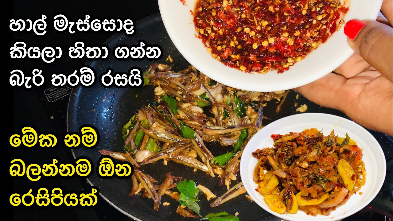 මේක නම් මාරම රසයි ගෙදර හාල් මැස්සො ටිකක් තියනවා නම් හදලා බලන්නකෝ | cook ...