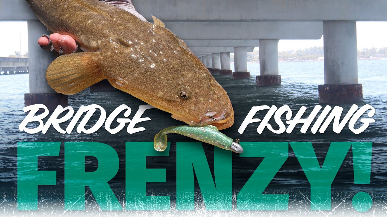 Bridge Fishing Frenzy! How to Catch Flathead and Bream on Lures. - YouTube