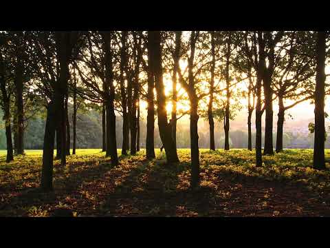 Derdin ölçüsü neydi? / Şiir / Fon müziği / Harika yorum.