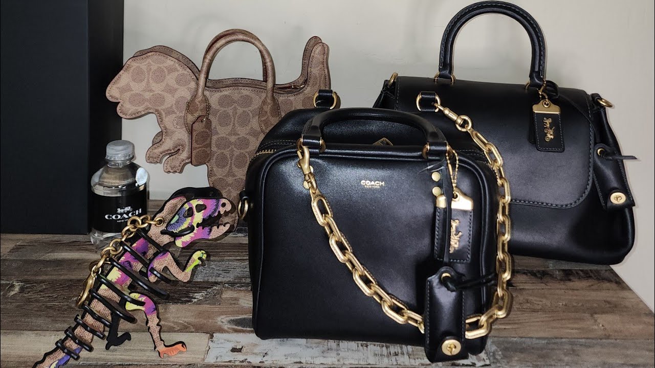 COACH ROGUE CUBE 20 - RARE REXY BAG CHARM 🦖 - YouTube
