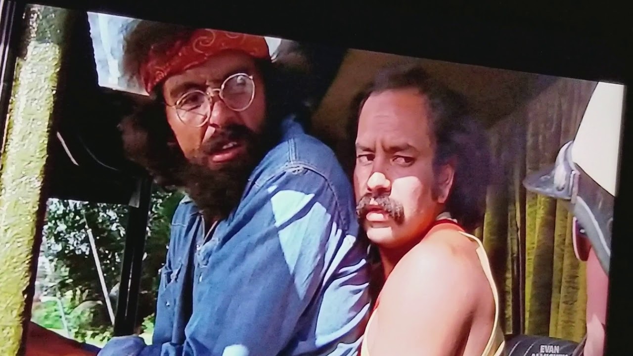 Cheech and chong stopped by moto cop. - YouTube