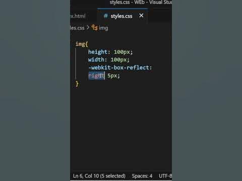 CSS Image Reflection using -webkit-box-reflect property #css #shorts #webdevelopment #cssshorts ...