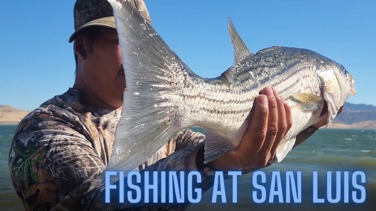 Brothers and In Law Fish at San Luis - YouTube