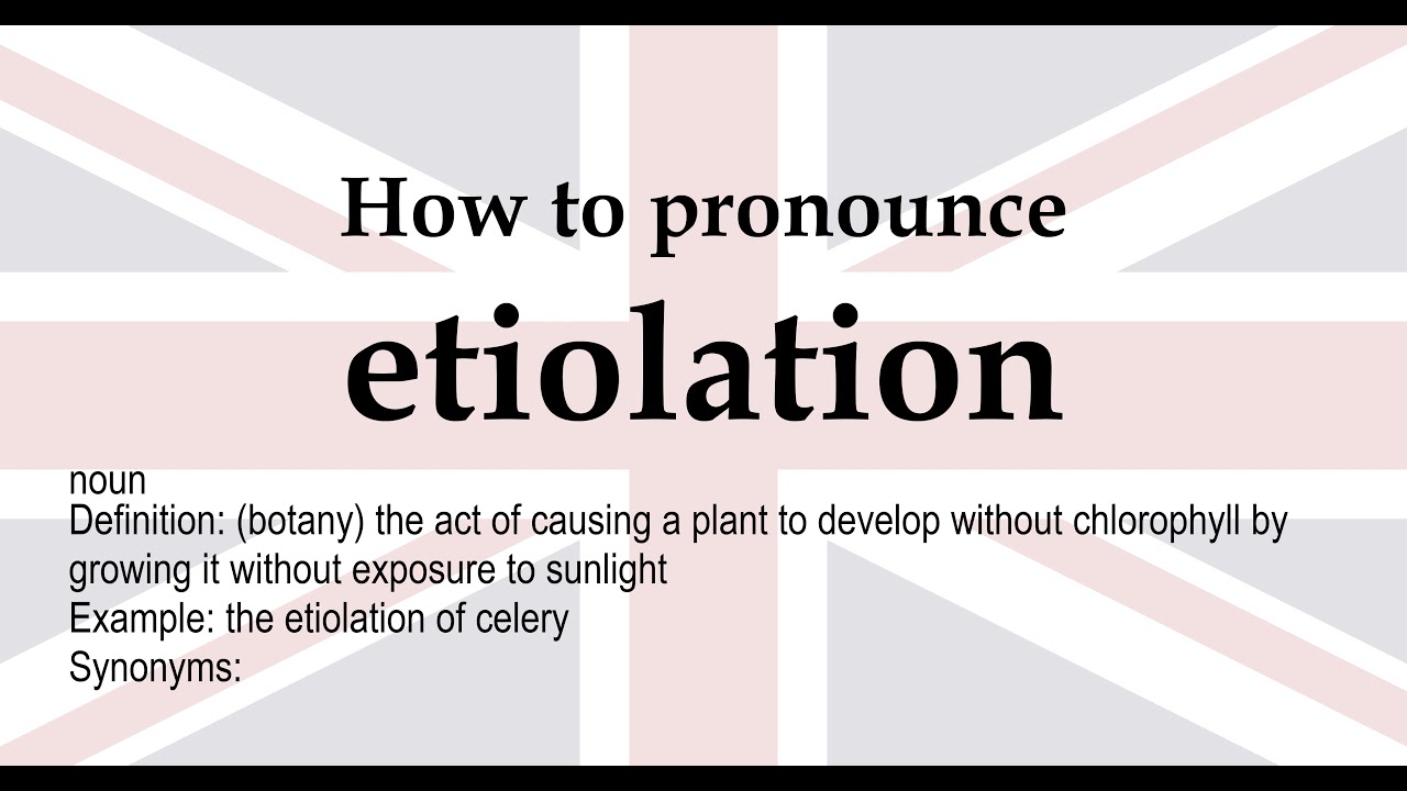 etiolation - YouTube
