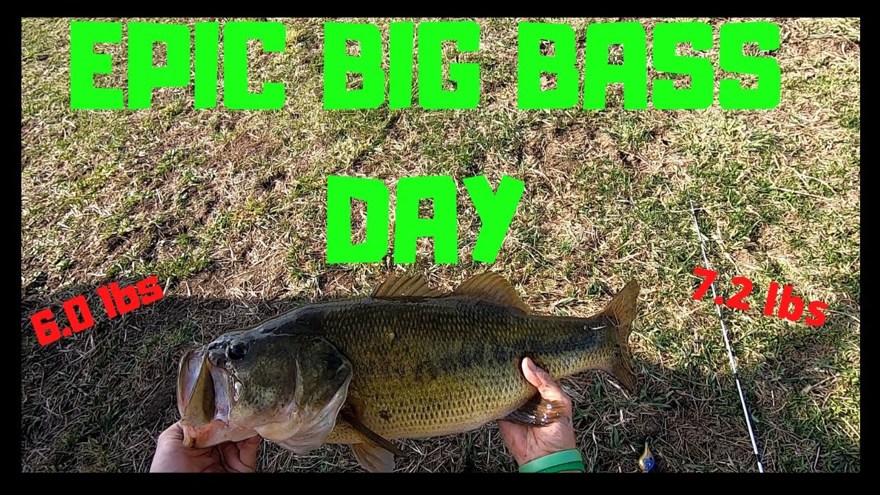 Epic Big Bass Day! --Episode 14-- - YouTube