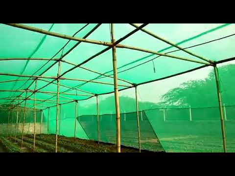 Low Cost Green house - YouTube