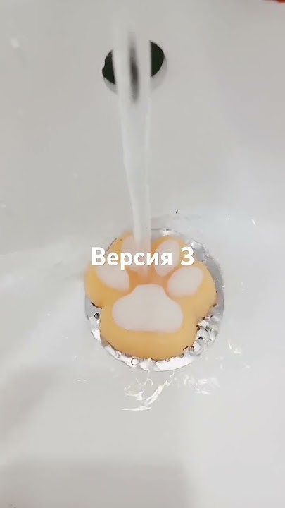 Уход за лапкой💗🌸 - YouTube