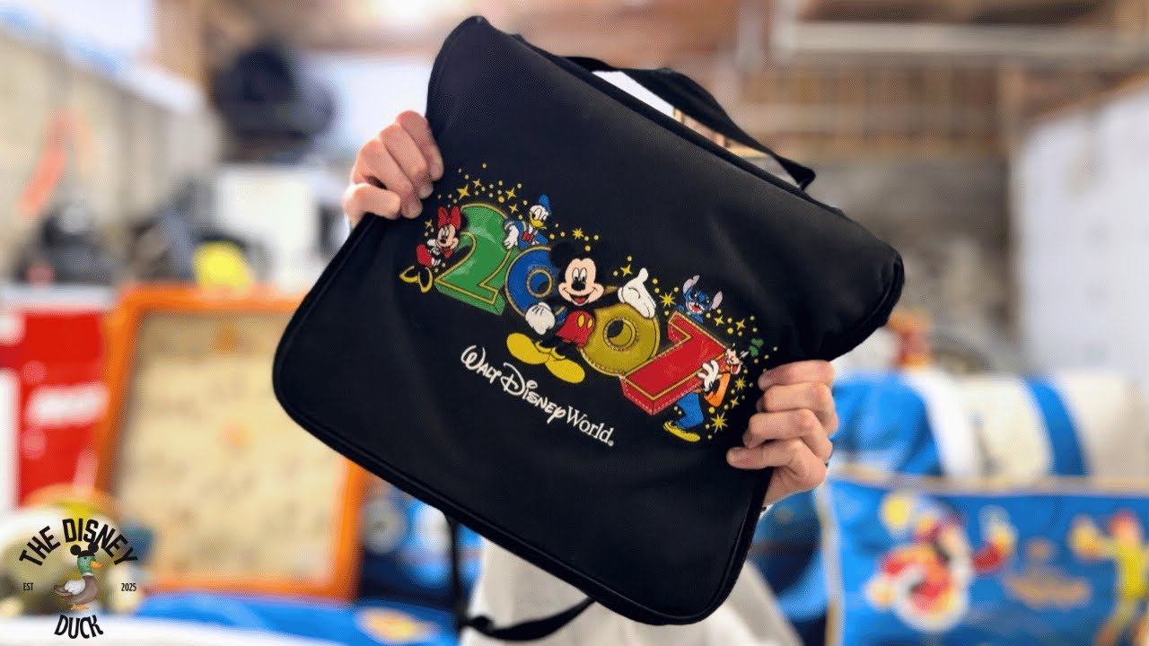 $5,000 Disney Pin Book Collection - YouTube