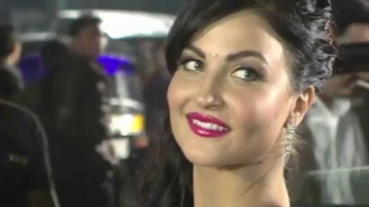 Elli Avram In Sexy Black Backless Blouse Hot Saree - YouTube