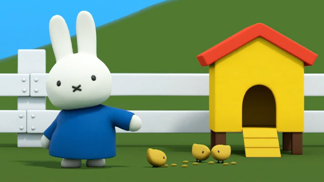 Feeding Baby Chicks! | Miffy | Cartoons for Children | Miffy's ...