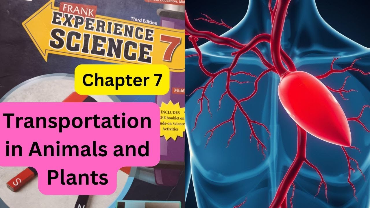 Transportation in Animals and Plants || Frank Science || Chapter 7 ...