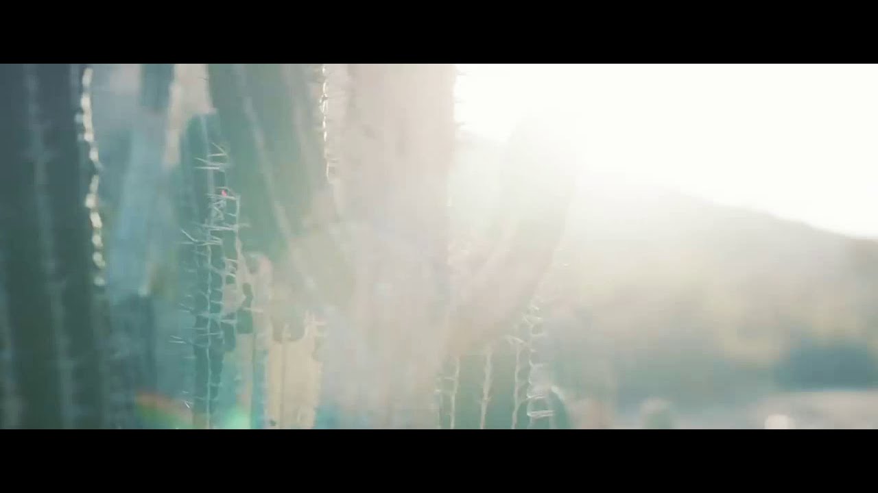 Sami X Cali_ Diblo(Official video) - YouTube