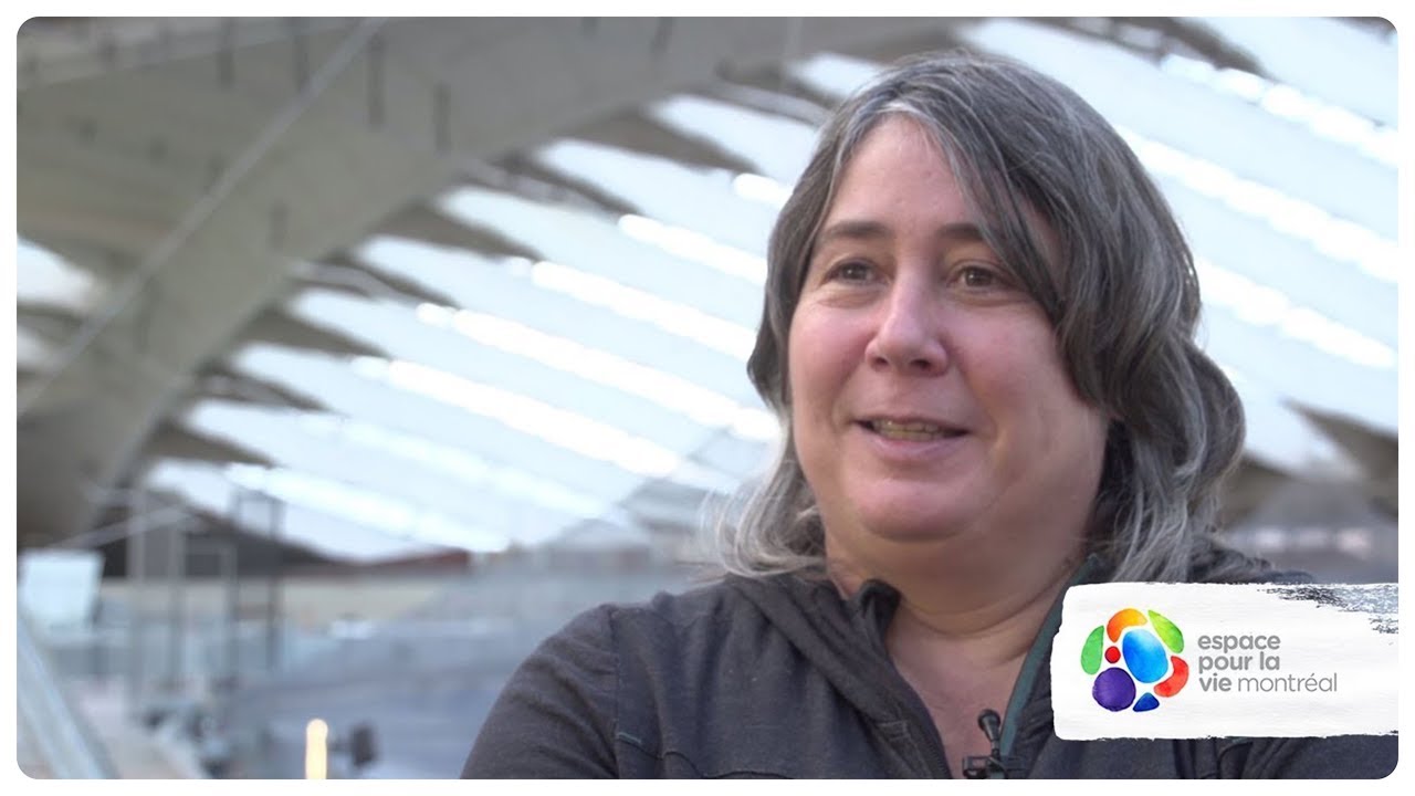 Portrait of a research scientist from the Montréal Biodôme - YouTube