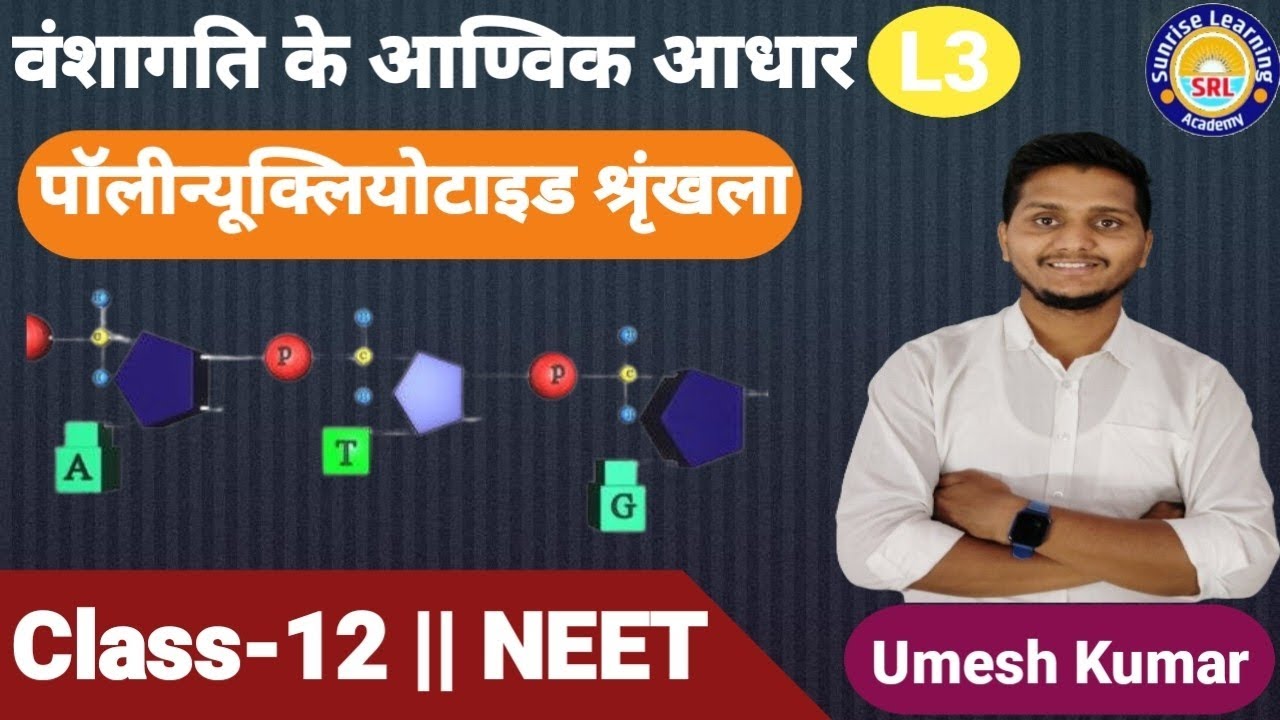 Genetics | Class -12 | NCERT | Molecular Basis Of Inheritance ...