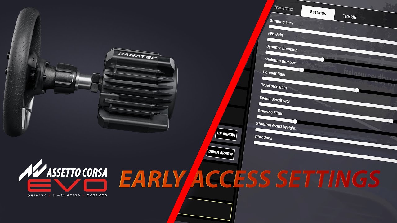 Assetto Corsa EVO | My FANATEC DD Early Access Settings - YouTube