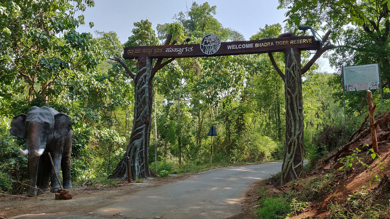 Bhadra Wildlife Sanctuary