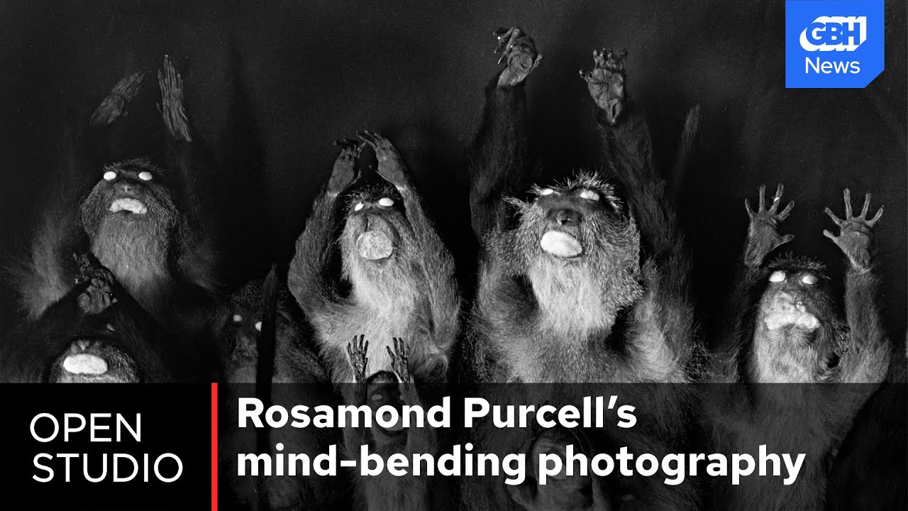 Rosamond Purcell pushes the boundaries of photography and imagination ...