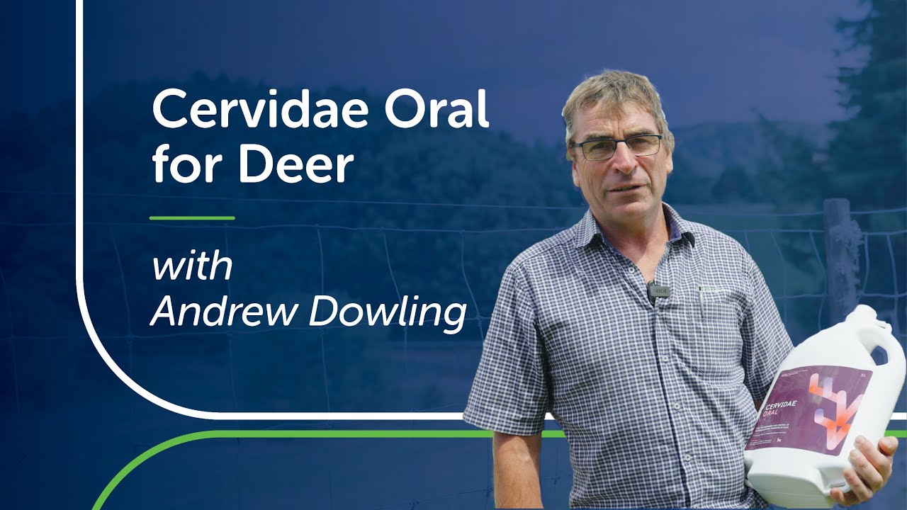 Revolutionising Deer Farming: Introducing Cervidae Oral - World's First ...
