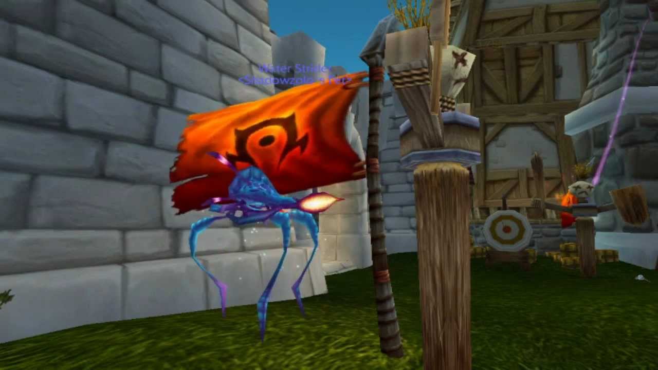 Confirmed Water Strider Pet - YouTube