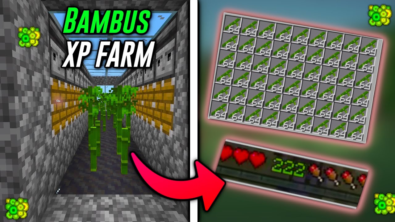 Diese Einfache Kaktus/Bmbus XP Farm muss du sofort bauen Minecraft 1.20 ...