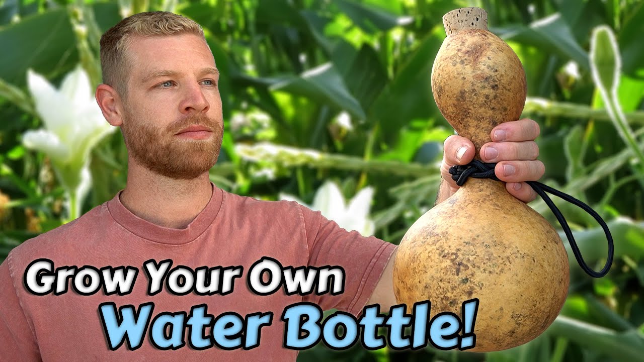 How To Make A Gourd Water Bottle Canteen