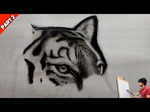How To Draw Realistic Tiger, Step By Step Shading Tutorial | Ep. 2 🔥😍 ...