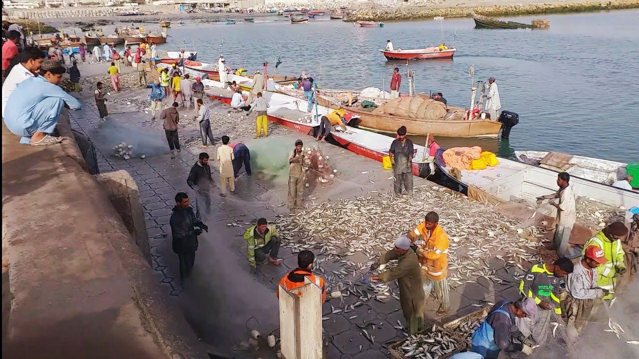 Gwadar fish market JT - YouTube