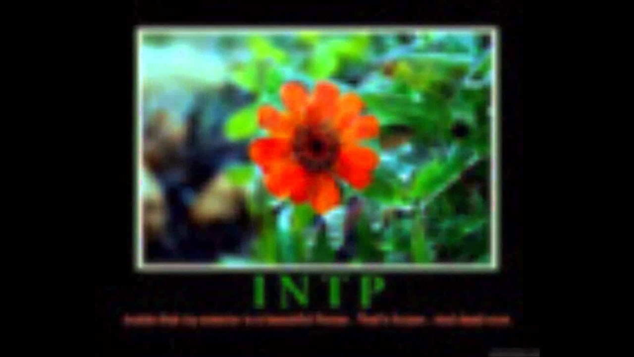 All about INTP - MBTI - The Architect/Engineer - 2 - YouTube