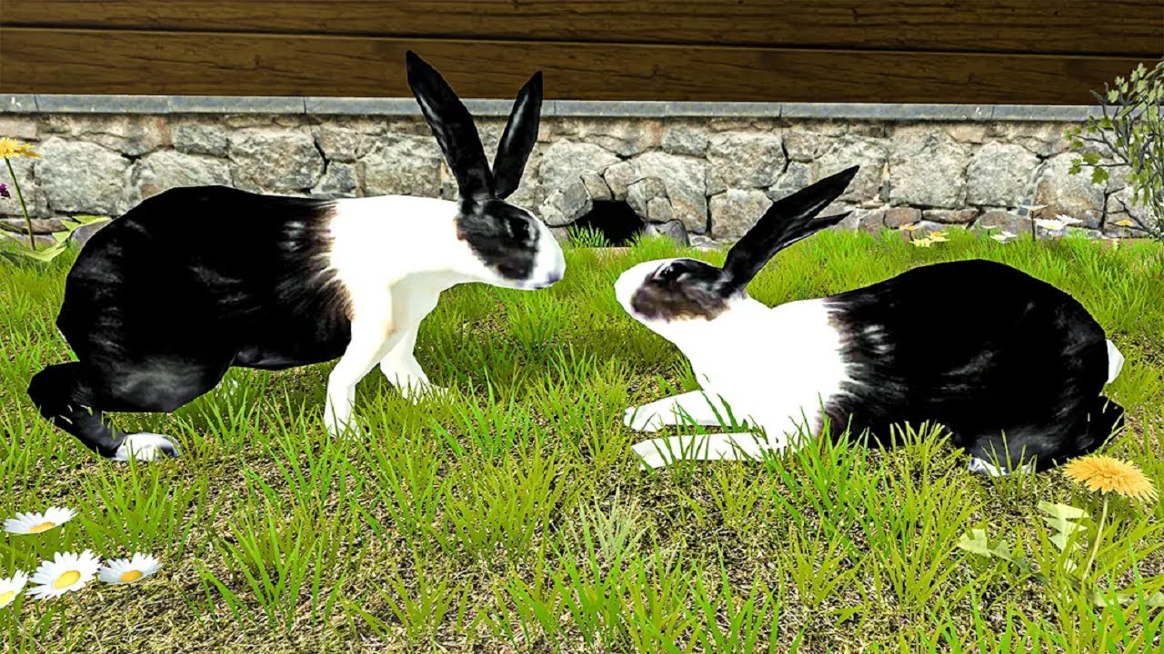 Forest Pet Bunny Simulator – Wild Rabbit Games - Android - Gameplay ...