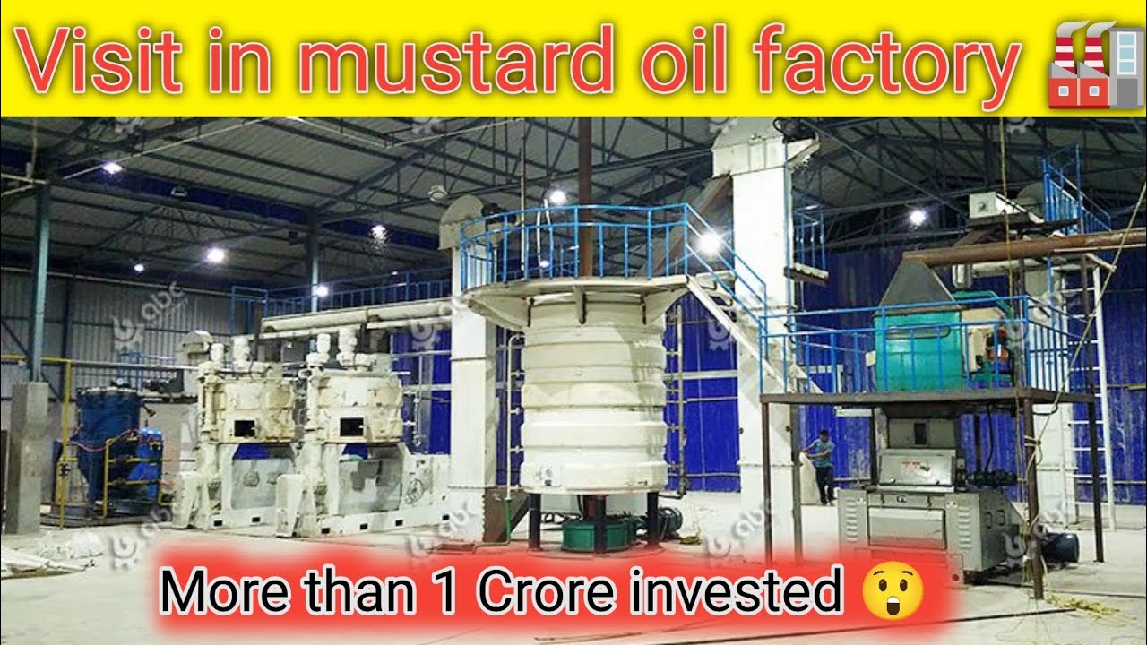 Visit in mustard oil factory 🏭 ! More than 1 Crore invested 😲! - YouTube
