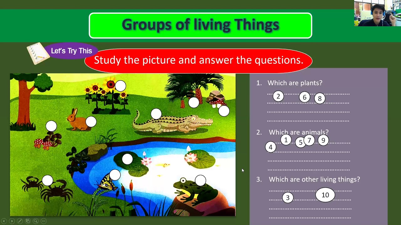 Science P. 4 livingthing - YouTube