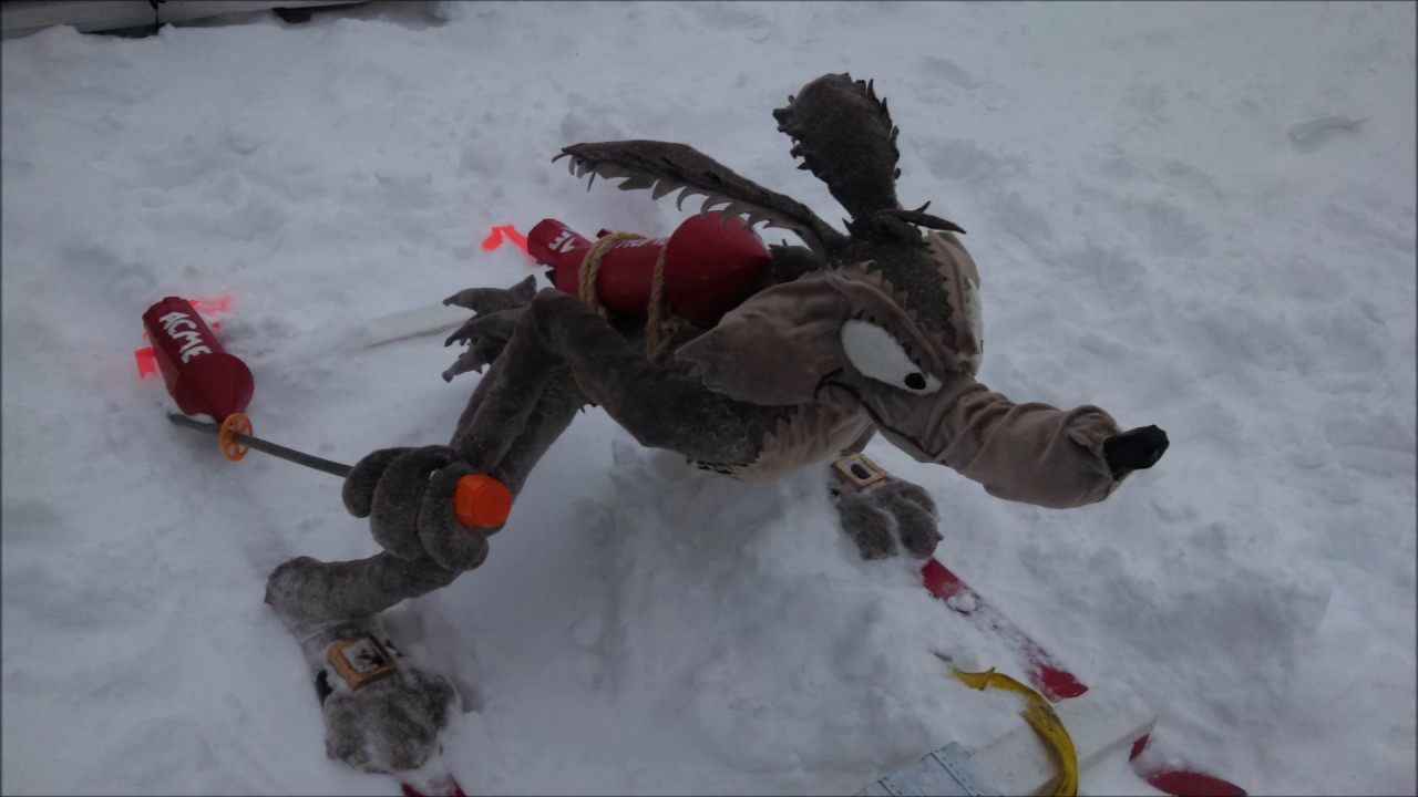 Wile E Coyote Jump - YouTube