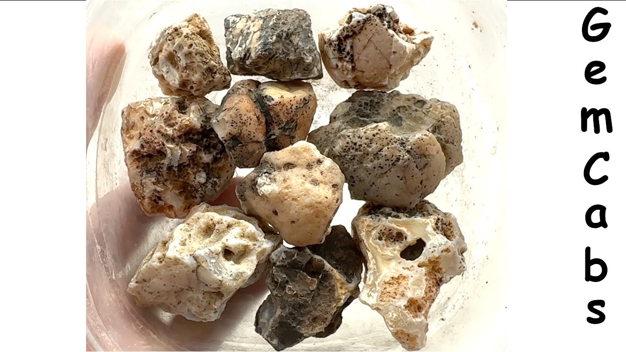Group of Arizona Gila Bend Mountain Agates Cut Open to Reveal the ...
