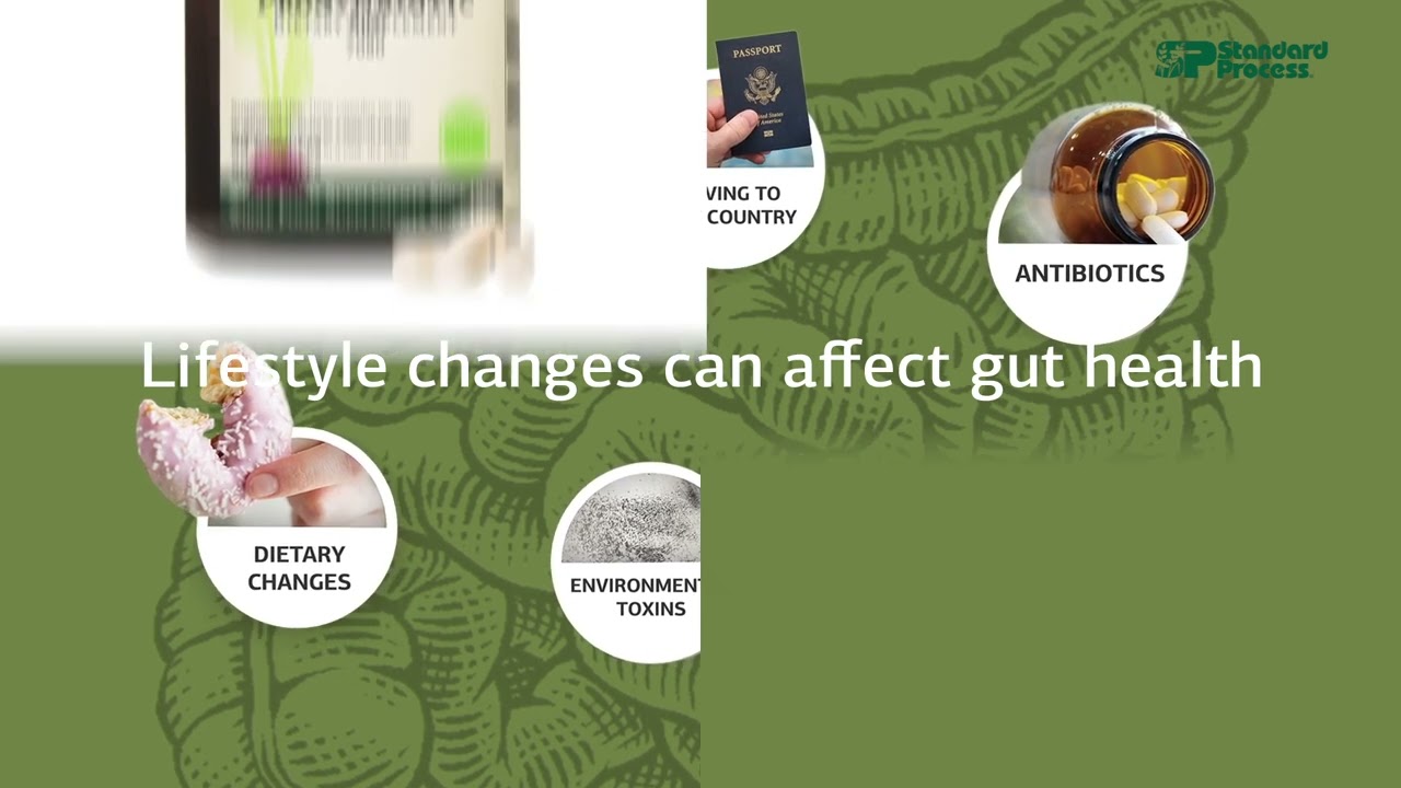 prosynbiotic standard process supplement 1080p - YouTube