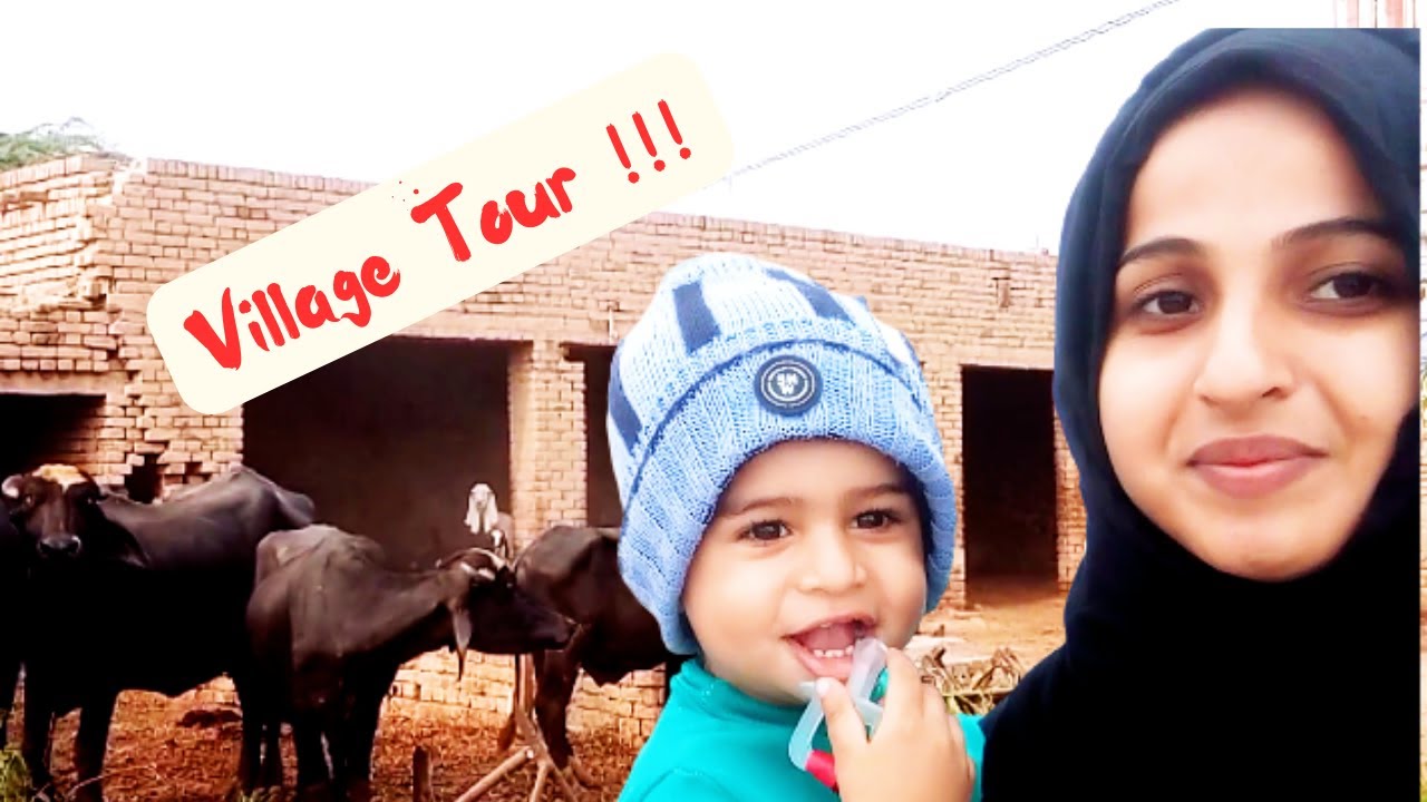 Travel to village | village tour | full day journey - YouTube