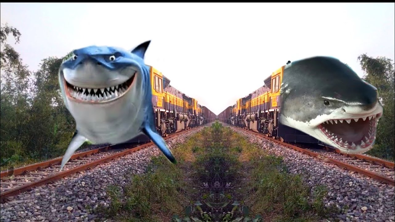 fish train video। funny train video। train video - YouTube