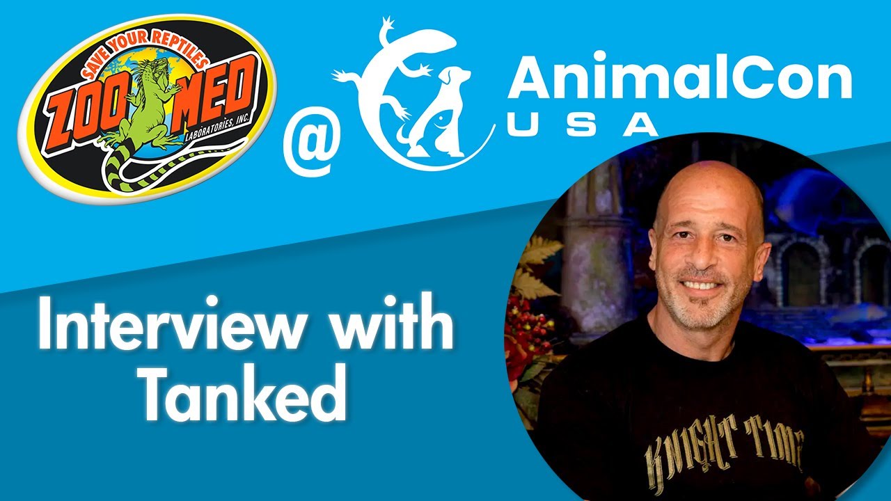 Tanked Interview with Brett Raymer - AnimalCon USA 2022 - YouTube