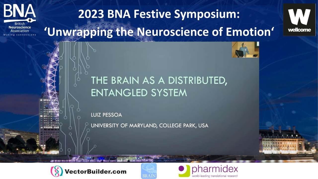 The Brain as a Distributed, Entangled System - Professor Luiz Pessoa ...