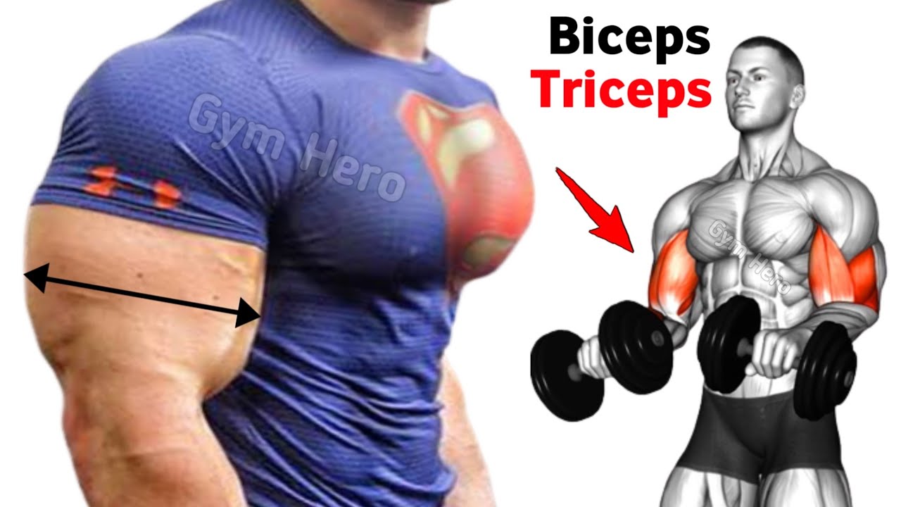 6 Best Bicep And Tricep Exercises For Build Bigger Arms In 22 Days ...