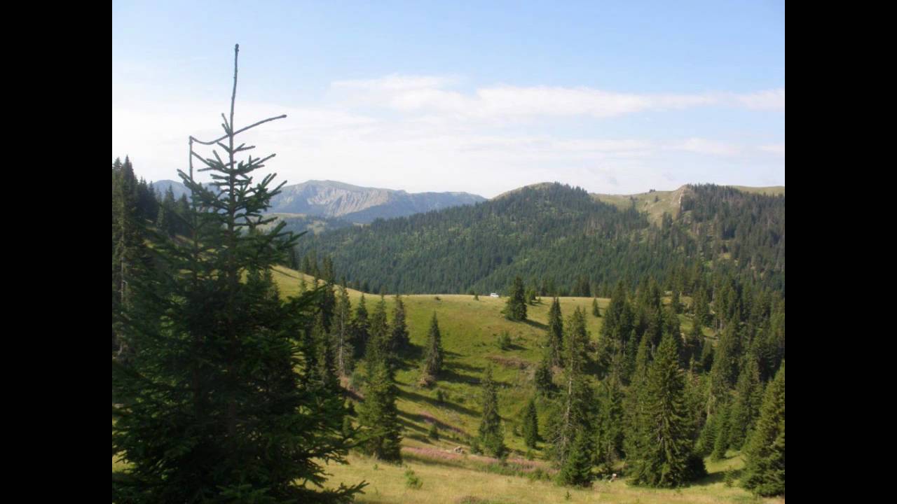 BUKURI NATYRORE TE RUGOVES - YouTube