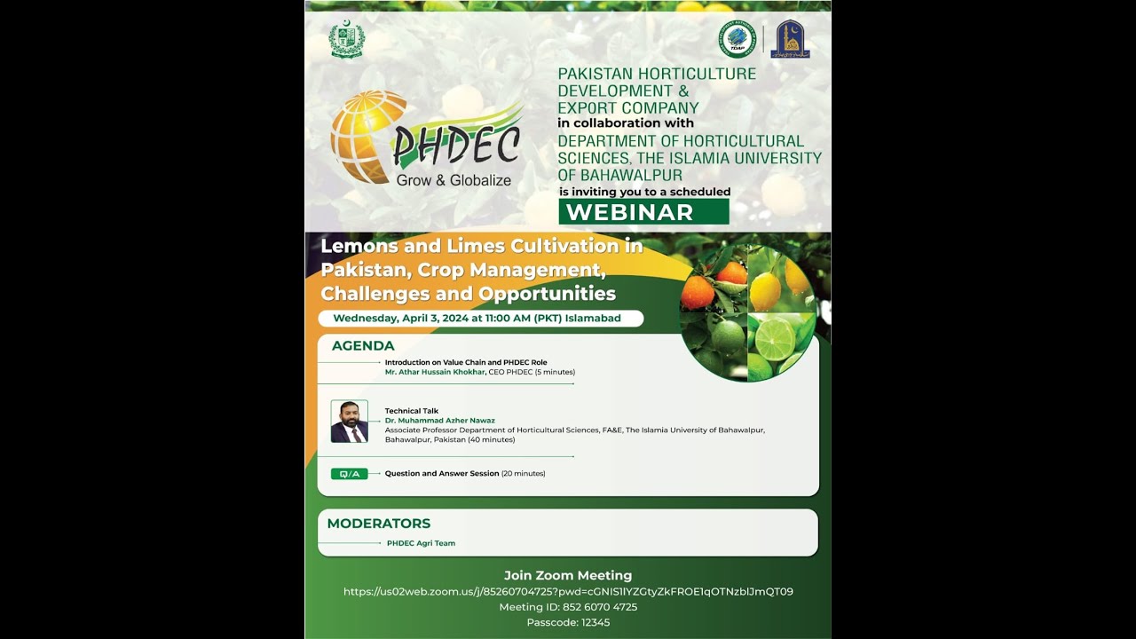 PHDEC – Ministry Of Commerce