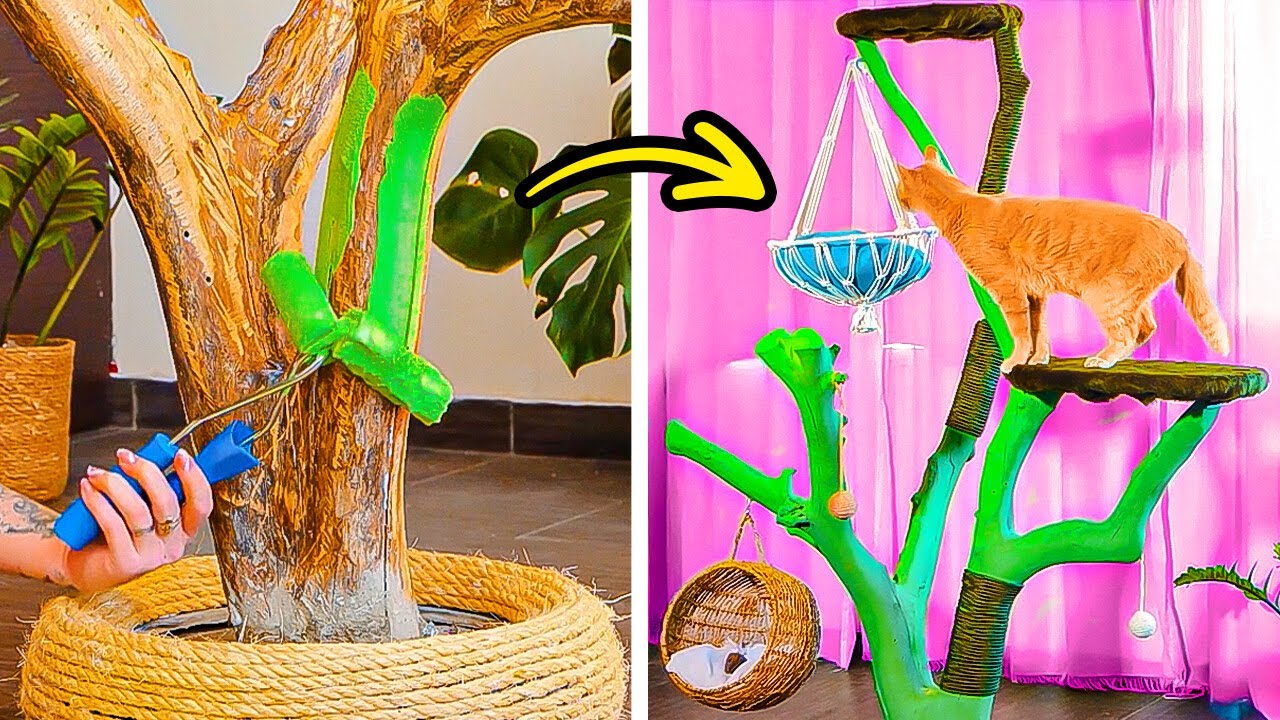 How to Build a Cat Tree With a Real Tree - YouTube