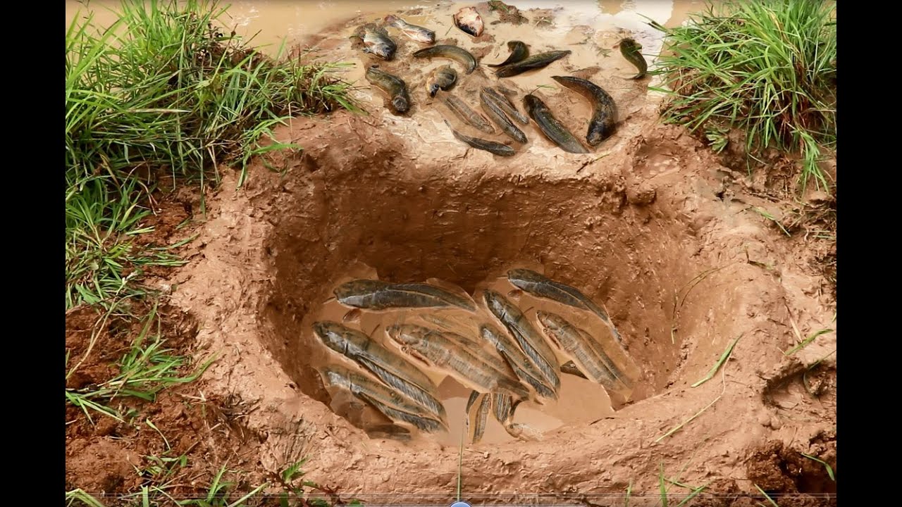 Fishing trap : best deep hole fish trap catch a lot fish by smart man ...