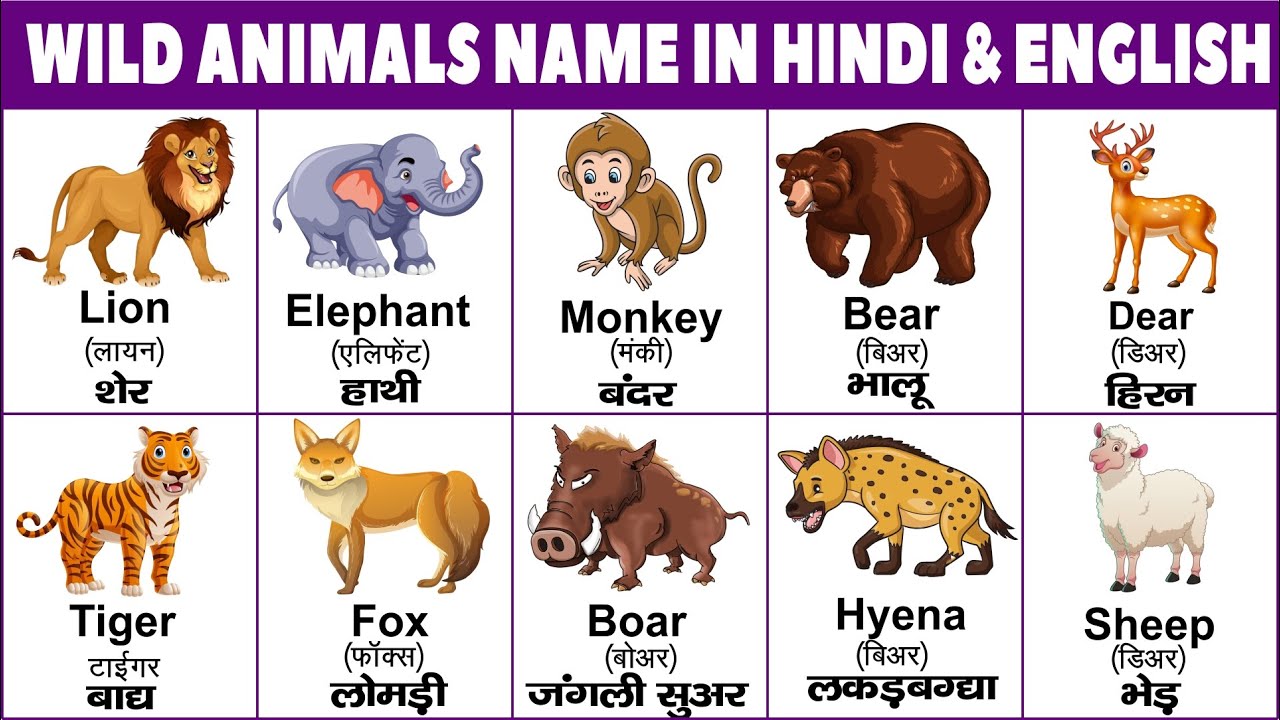 Wild Animals Name in Hindi & English with Pictures | जंगली जानवरों के नाम हिंदी और अंग्रेजी में ...